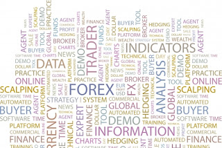 Forex Trading Terminology | Forex Profit Guide For Beginner and Expert