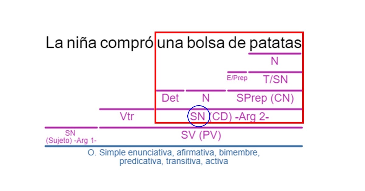 LenguayLiteratuRAP.: EL COMPLEMENTO DIRECTO (CD), según la NGLE.