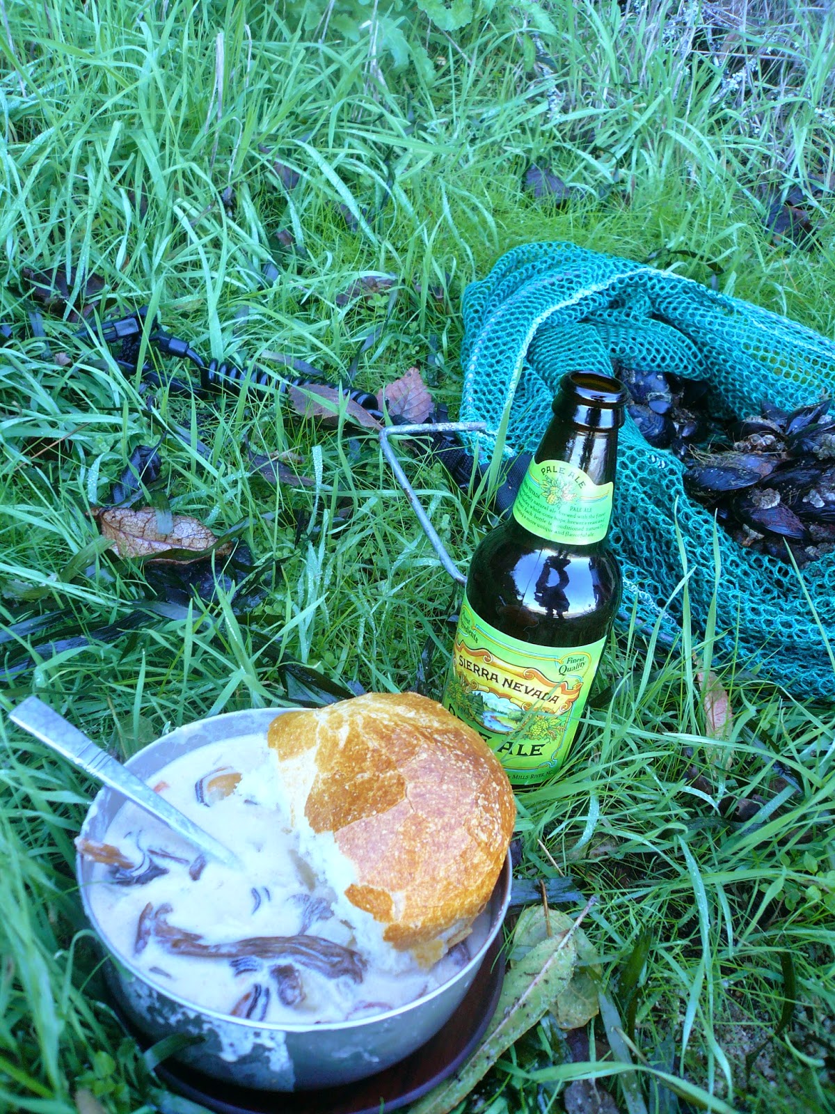 Countryman: Foraging California's Wild Side: Mushroom and Mussel ...