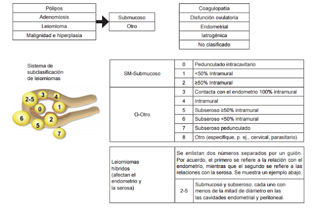 El Mundo de la Ginecología HUA - FIGO 2011: 5. SISTEMA DE CLASIFICACIÓN ...