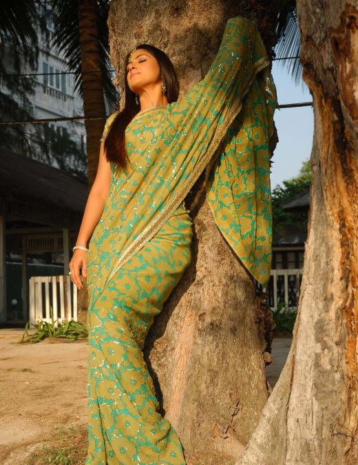Actress Simran In Saree