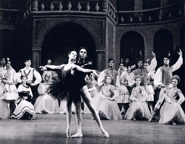 Dutch National Ballet: 47 Pictures That Capture Performing Dancers in ...