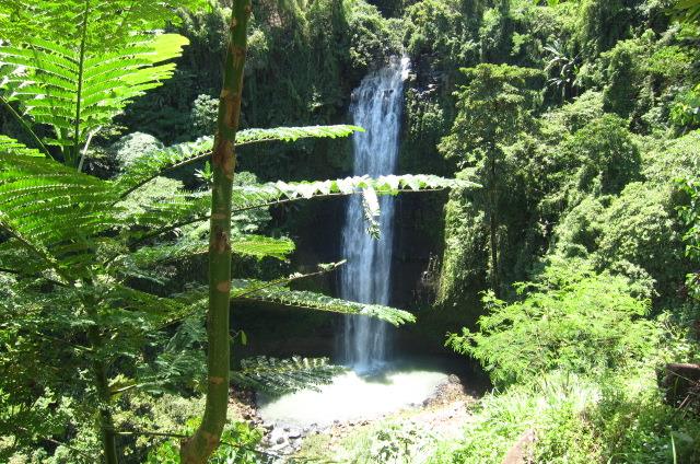 50FALLS@50: The 12th waterfalls - ALALUM FALLS