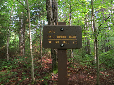 Mountain Wandering: Mount Hale Loop: 7/4/13