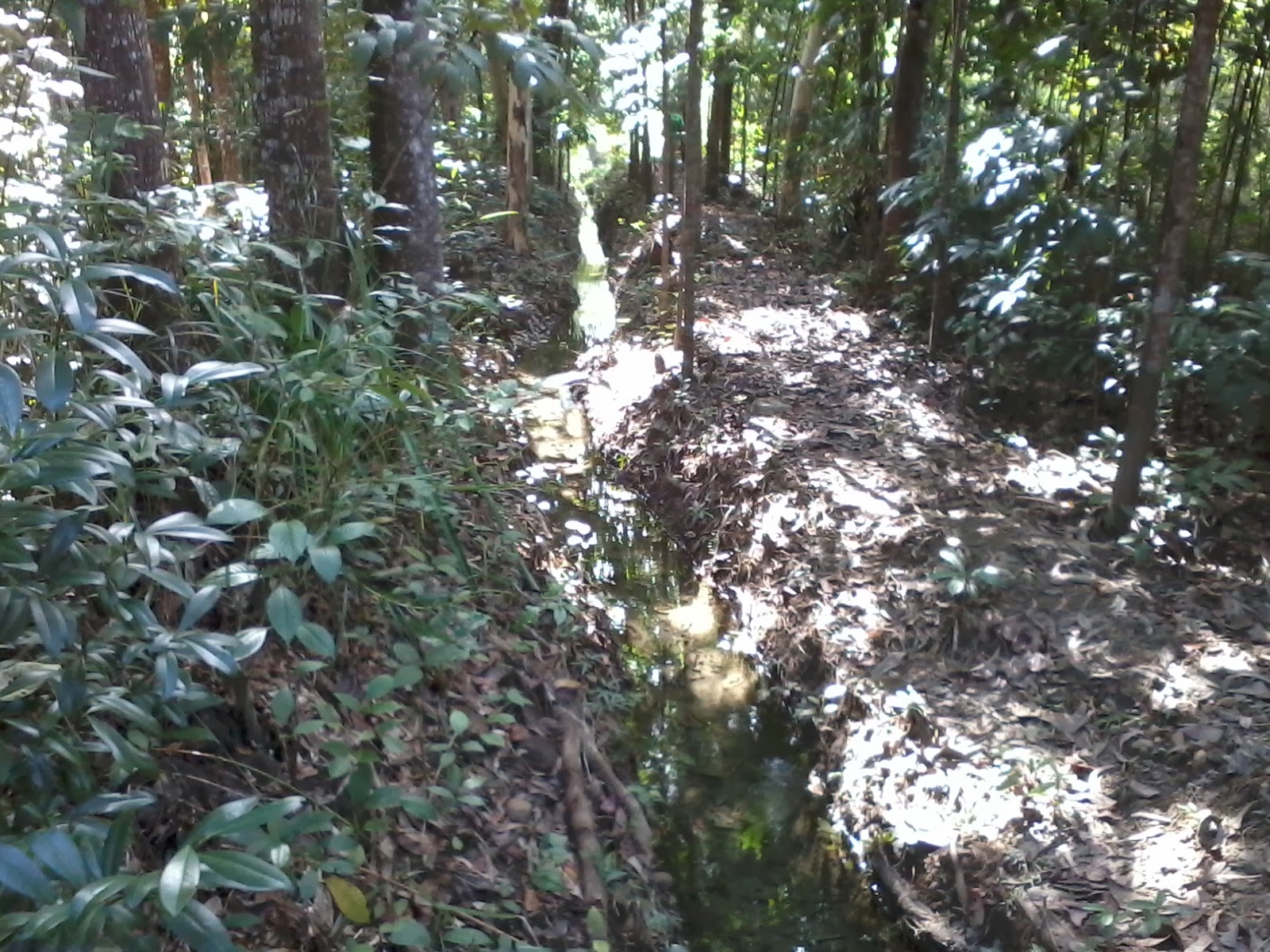 Sustainable Development: Water Impounding and Irrigation