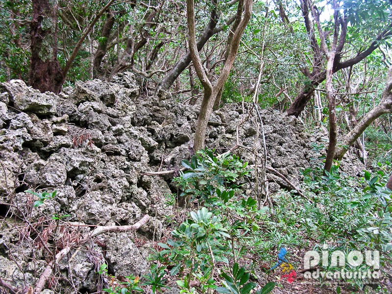 If You Think You've Already Seen Batanes, Think Again! Here Are 50 ...