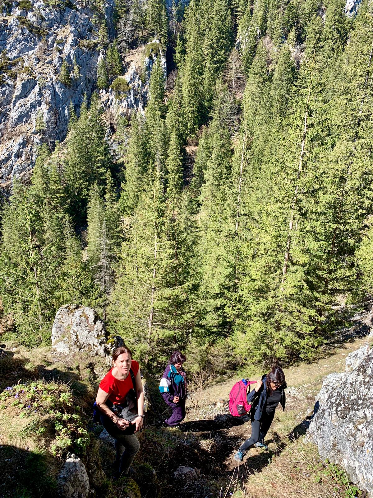 Pasionati de frumos !: Cheile Șugău - Peștera Tunel - Peștera Munticelu ...