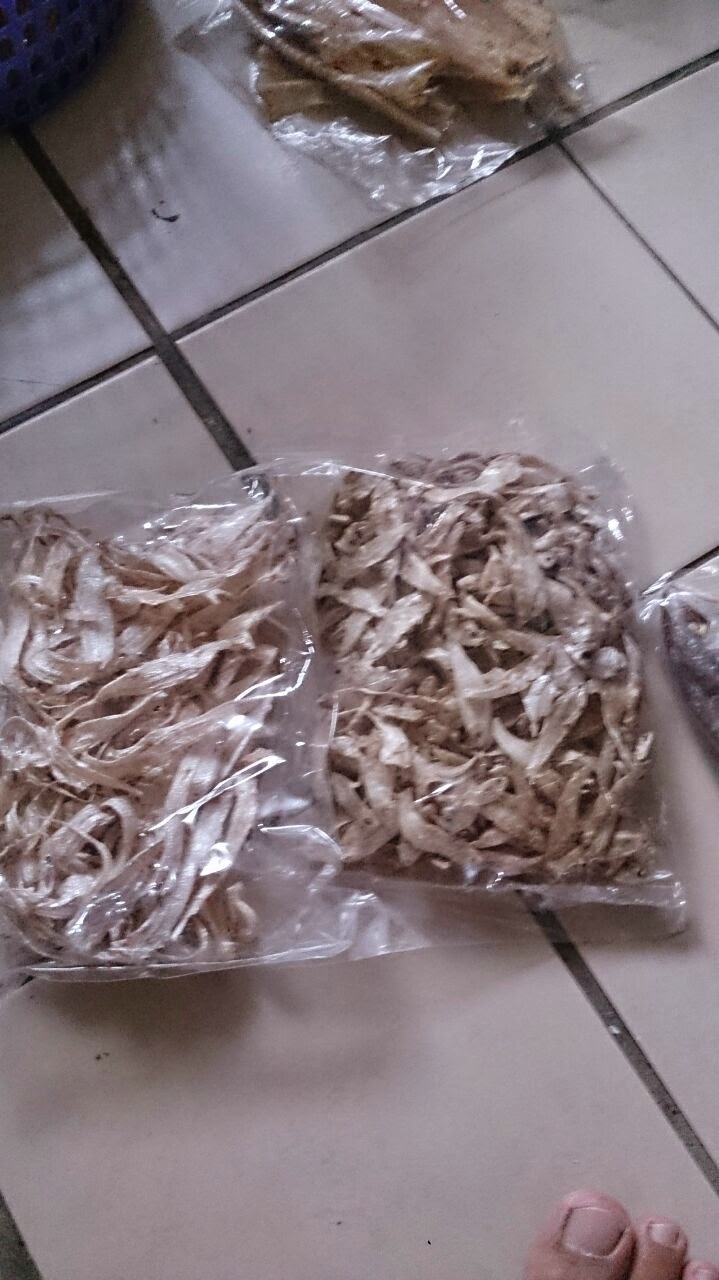 Ikanmasinsarawakku Jenis Jenis Ikan Masin