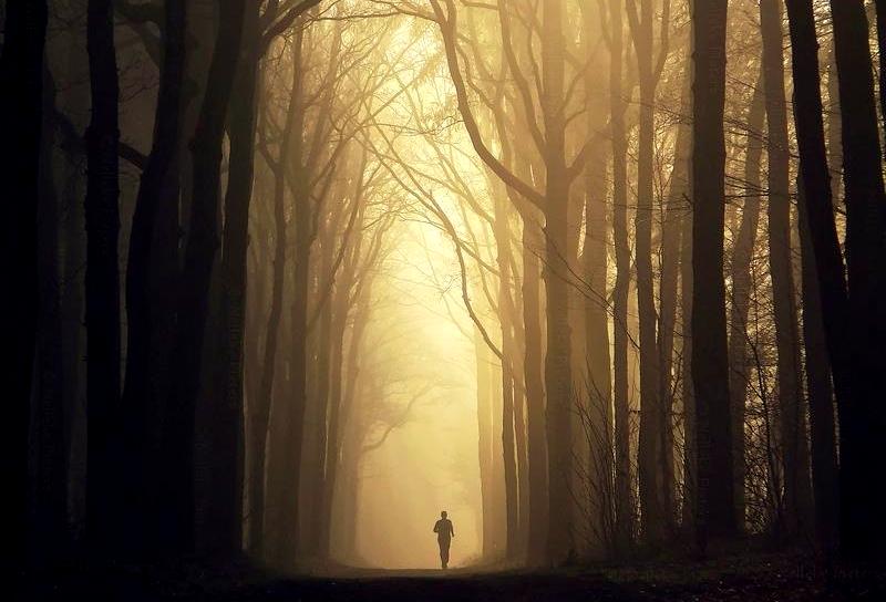 Mencari Sinar Cahaya... - Relaks Minda