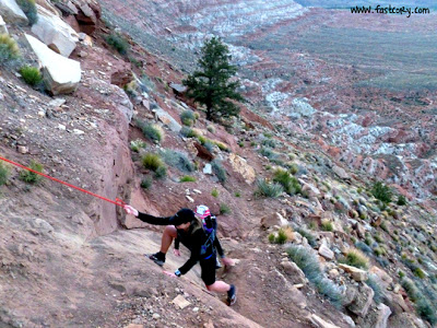 Johnny jump UP: Zion Race Report