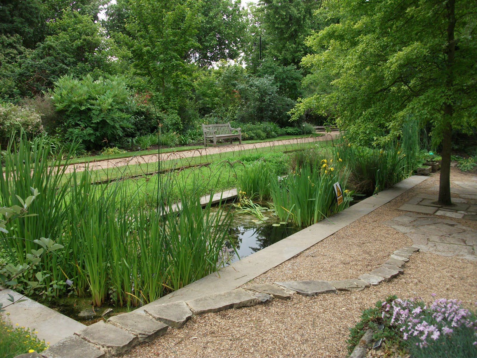 Annie's Little Plot: Chelsea Physic Garden
