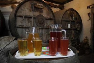 Alen: Claridad de Pensamientos: La Chicha en Chile: Brindemos con ...