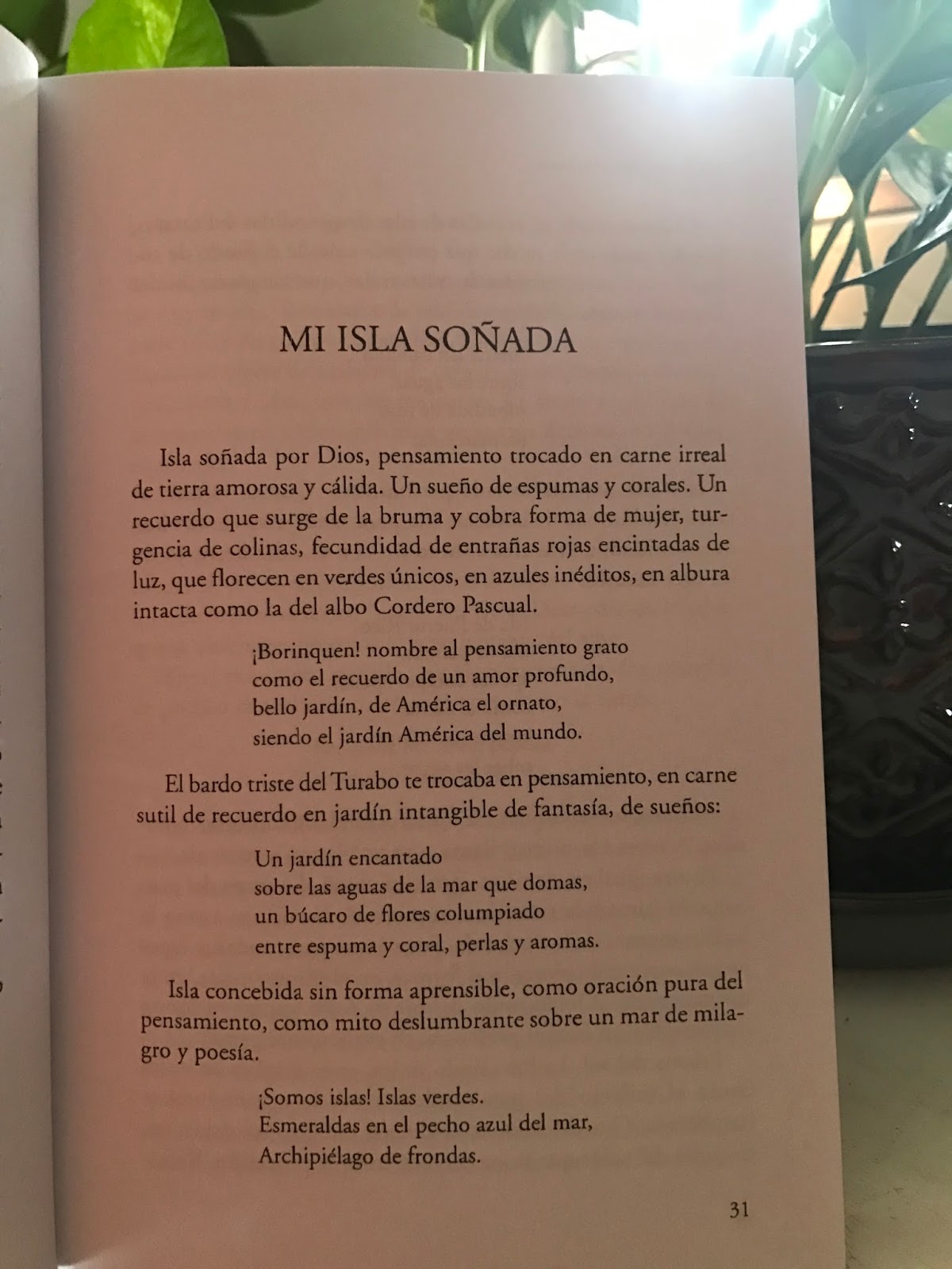 Historias sobre todos: Mi Isla soñada y Terrazo por: Abelardo Díaz Alfaro
