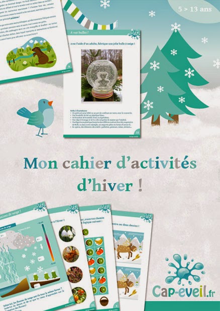 verojohnson: A imprimer: Cahier d'activites d'hiver