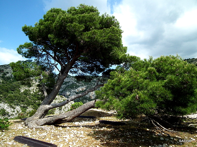 Un jour....Une photo !: mai 2018