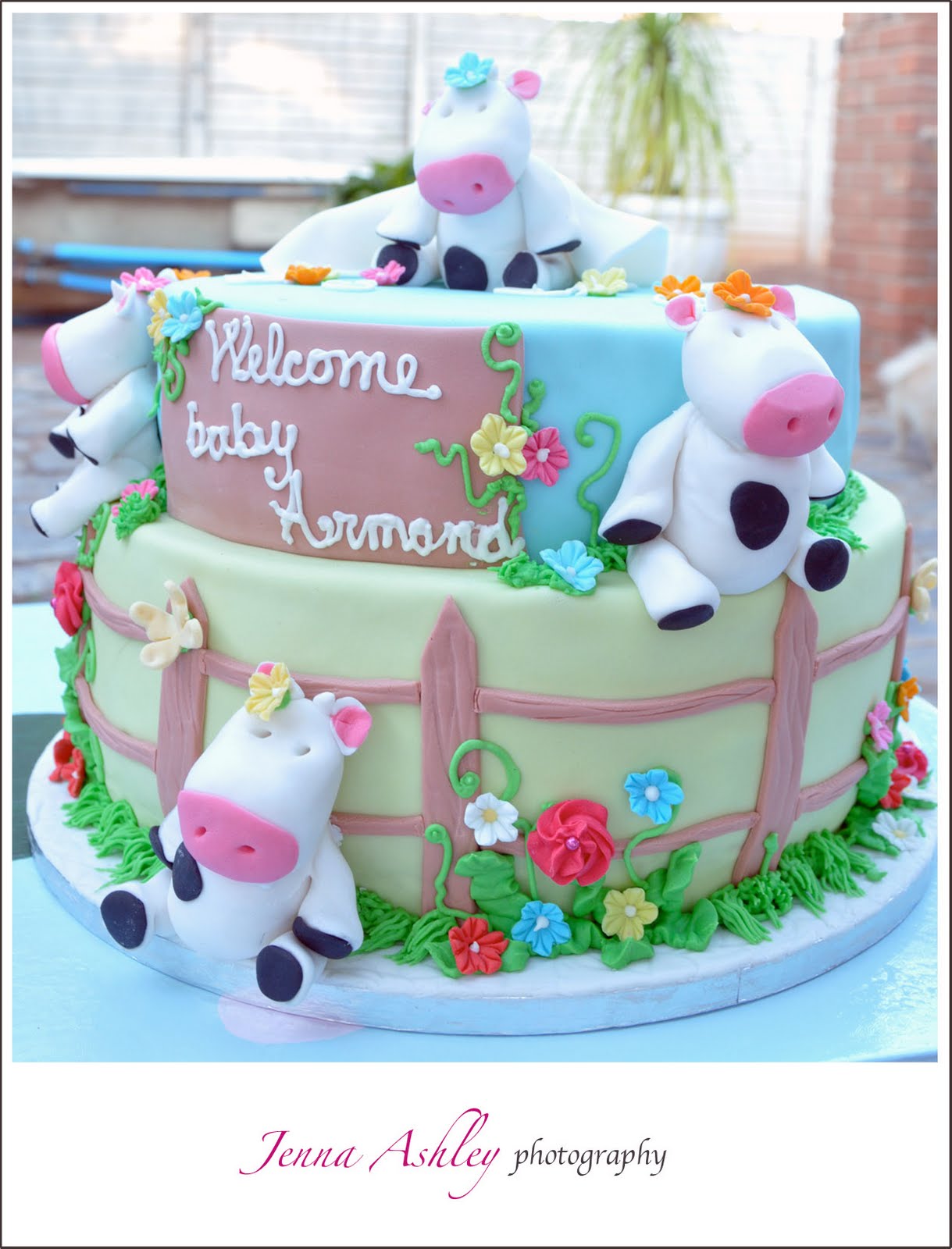 Jenna Ashley Photography: My Amazing Barnyard Baby Shower...celebrating ...