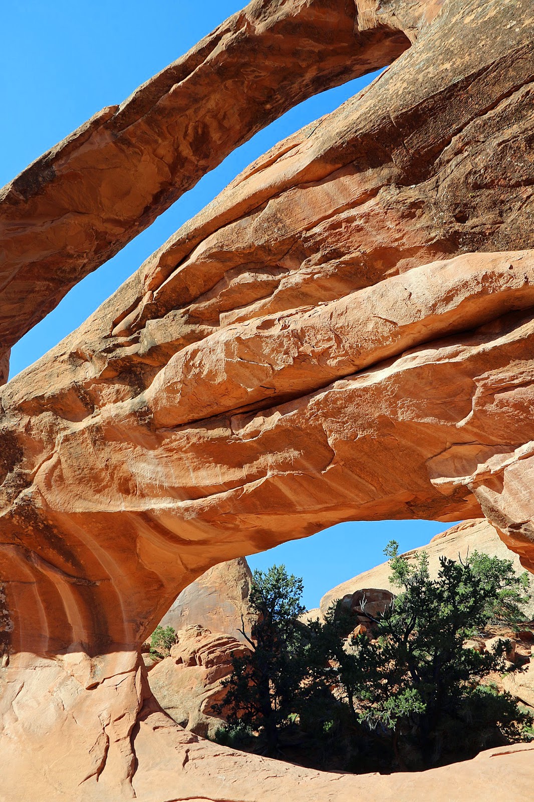 A is for Adventure: Devils Garden Primitive Loop at Arches National Park