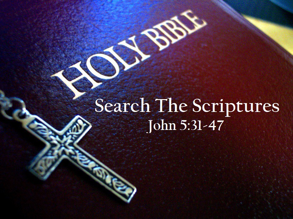 "Beads of Joy" by RosaryManJim: Search The Scriptures