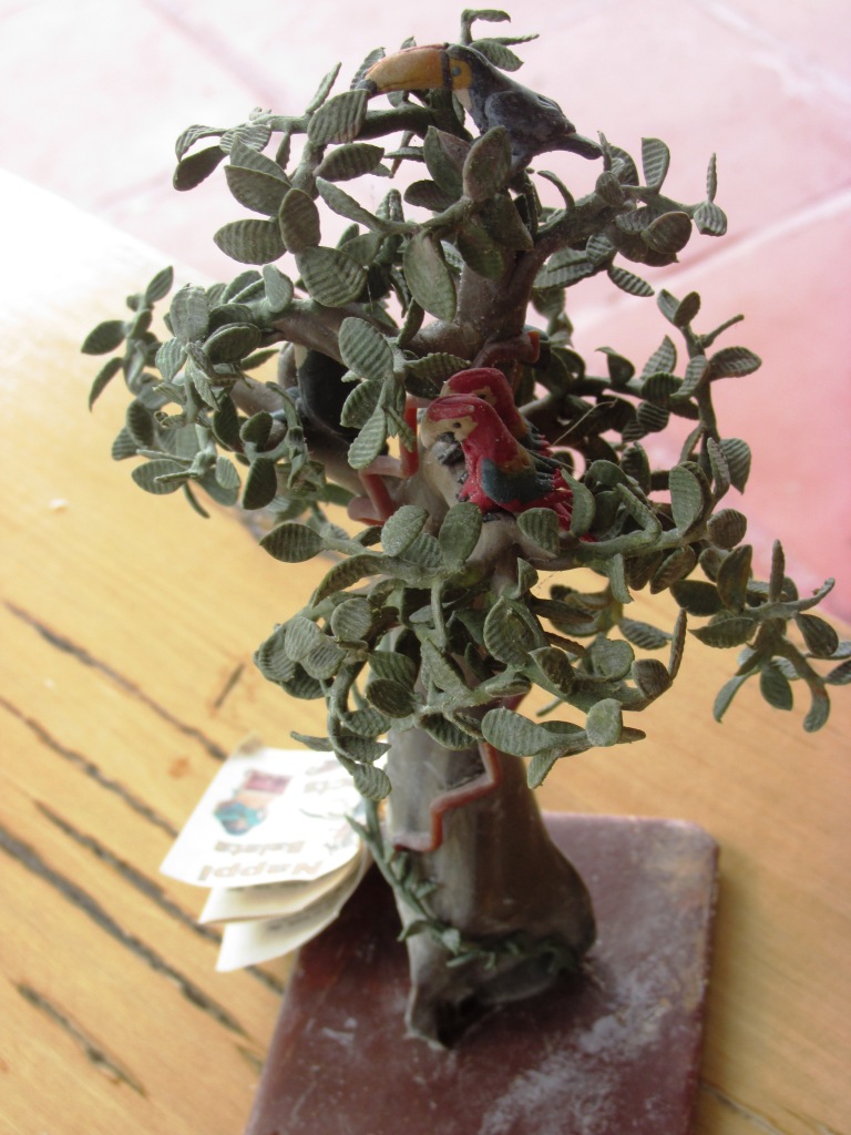 THIS and THAT: My balata tree