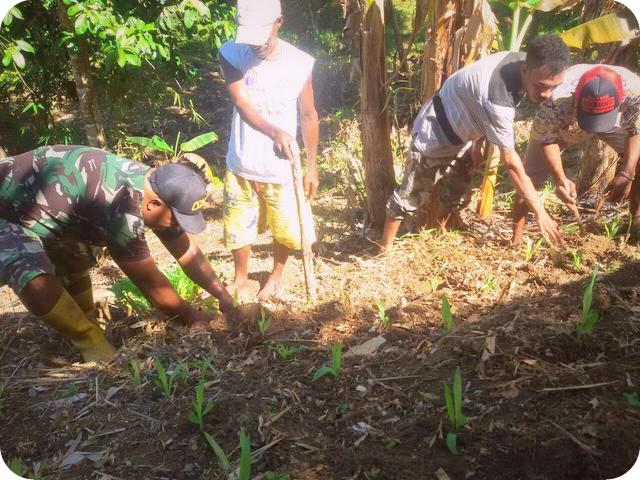 Warga Kampung Rosbori Butuh Pendampingan Pertanian dari TNI - #PapuaUS ... Warga Kampung Rosbori Butuh Pendampingan Pertanian dari TNI - #PapuaUS ...