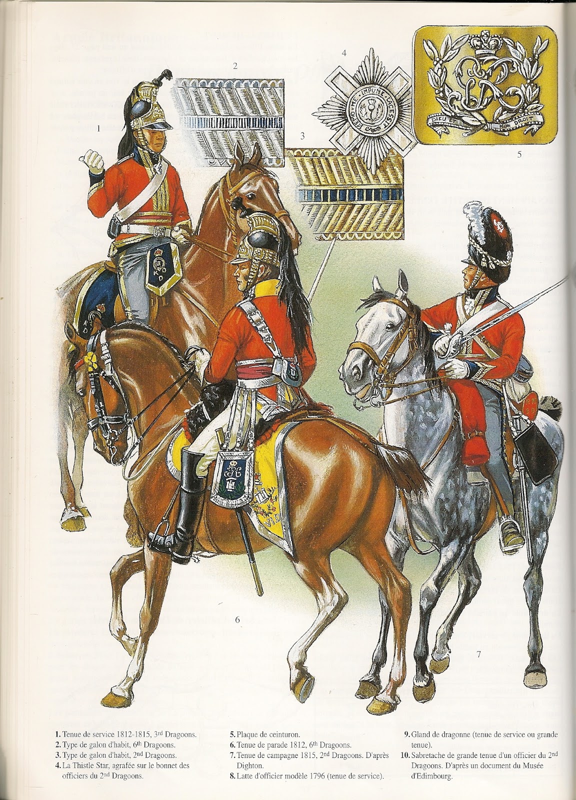 1000+ images about British dragoons - Napoleonic on Pinterest