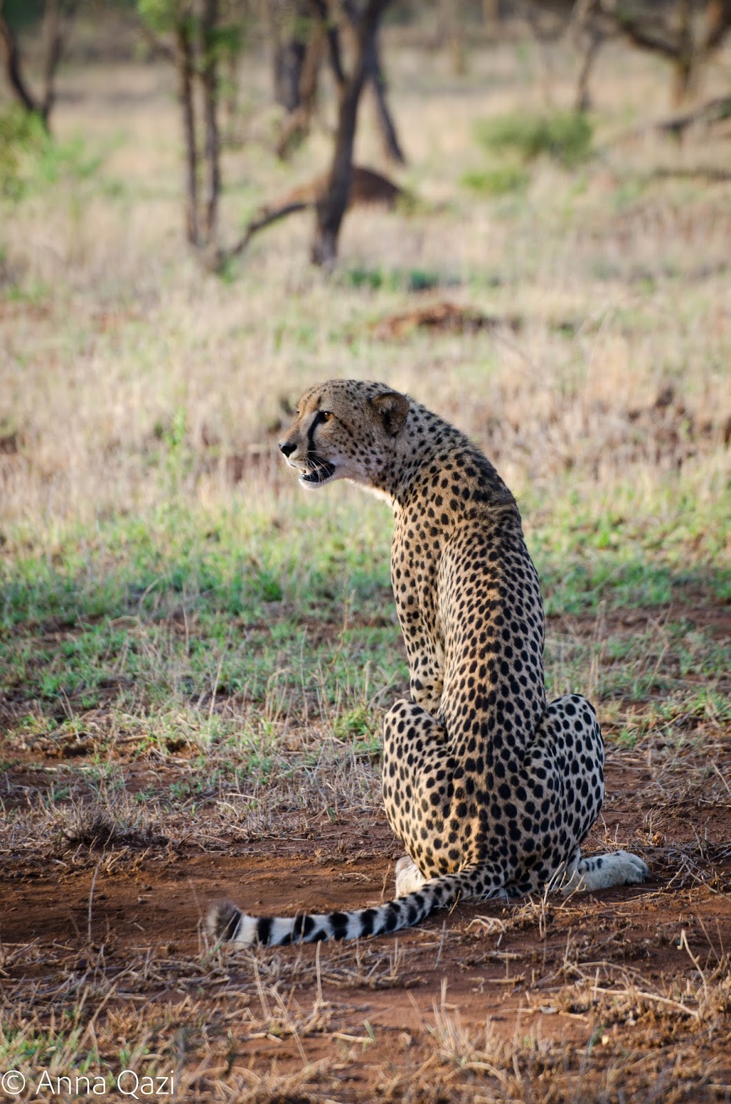 Guest Experience Highlight: Ania and Imran - Rhino River Lodge