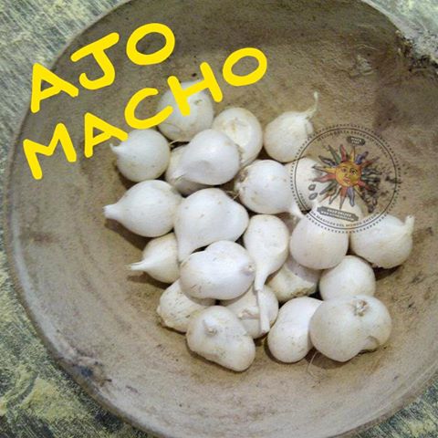 ** EL BLOG DE MEIGA CELTA ** :: ARTÍCULOS RELIGIOSOS :: ESOTÉRICA ...