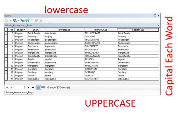 Cara Merubah ke Lowercase, UPPERCASE, dan Capital Each Word pada Data ...