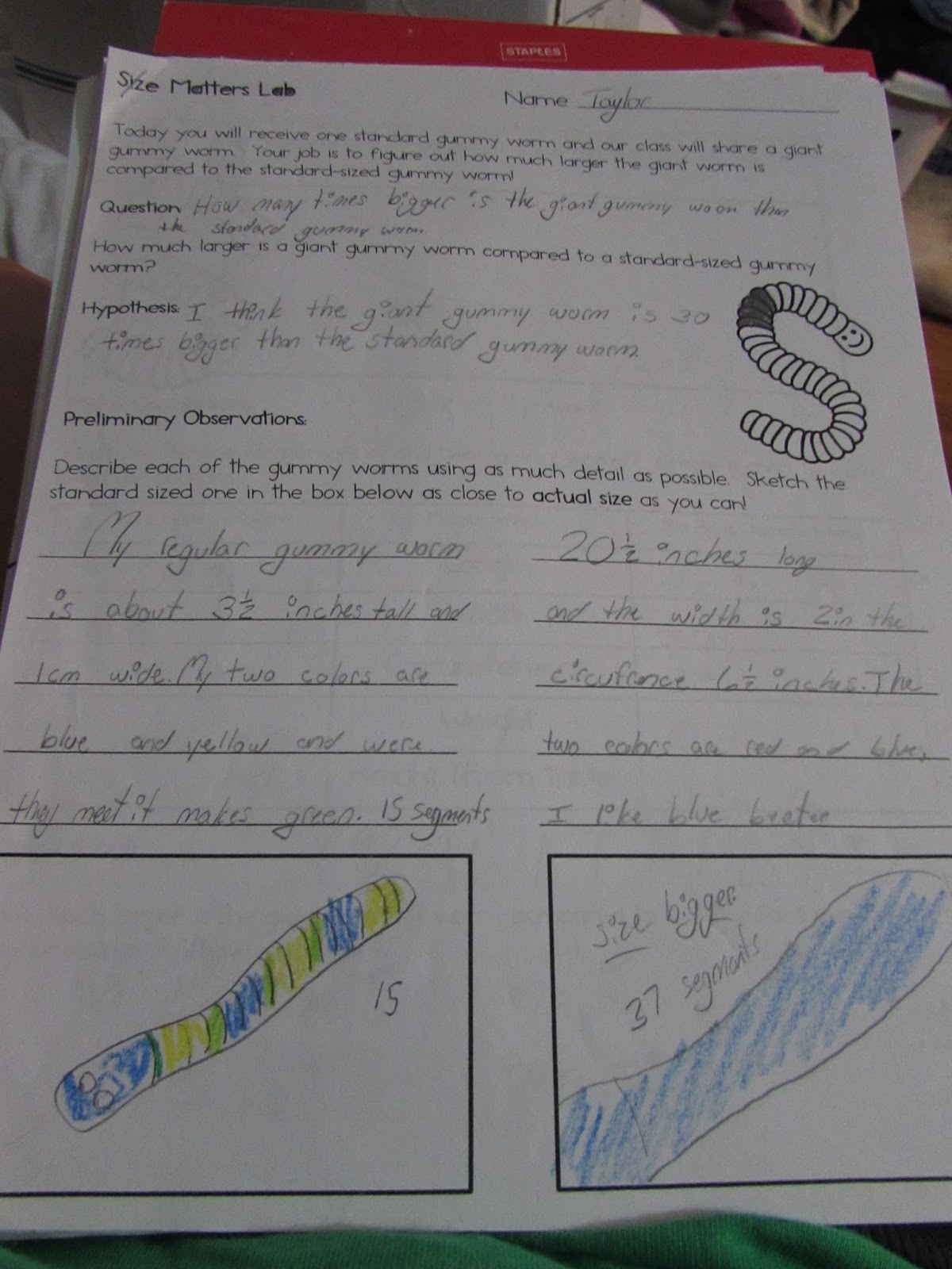 Growing a STEM Classroom: Size Matters - Math Lab with Gummy Worms