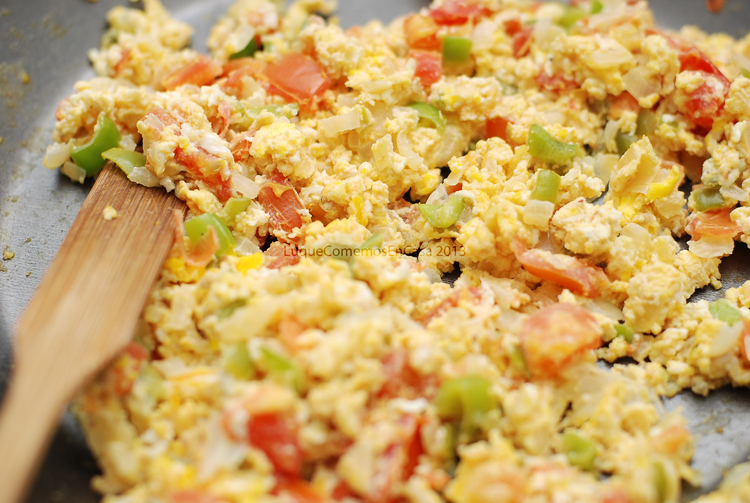 LuqueComemosEnCasa: Perico Criollo