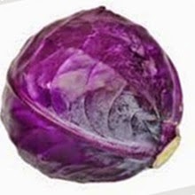 Griya Hidroponikku: KOL MERAH (RED CABBAGE)