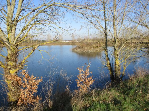 Sud-ouest Toulousain Randonnées: LONGAGES : Lac de la Linde