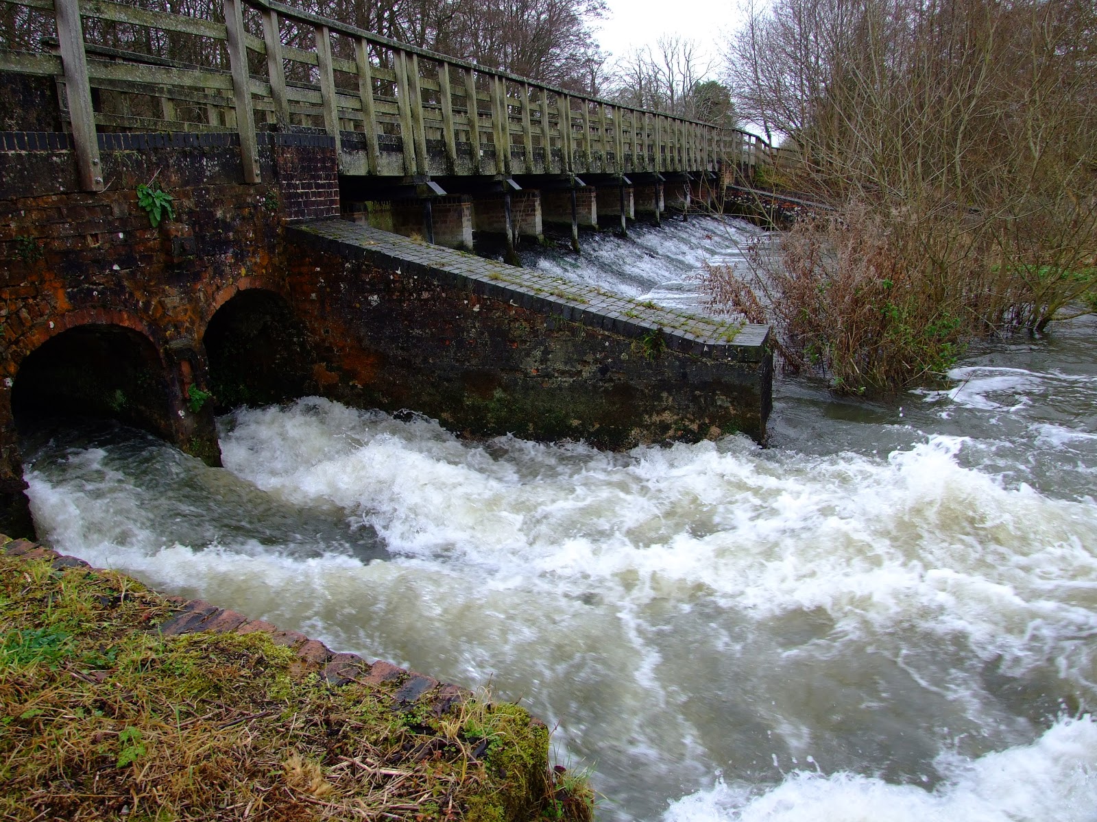 Canoeing and Kayaking on The River Kennet: Water levels up and down the ...
