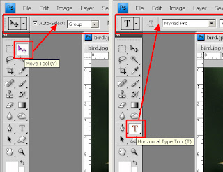 adobe photoshop, photoshop software: Photoshop Toolbox