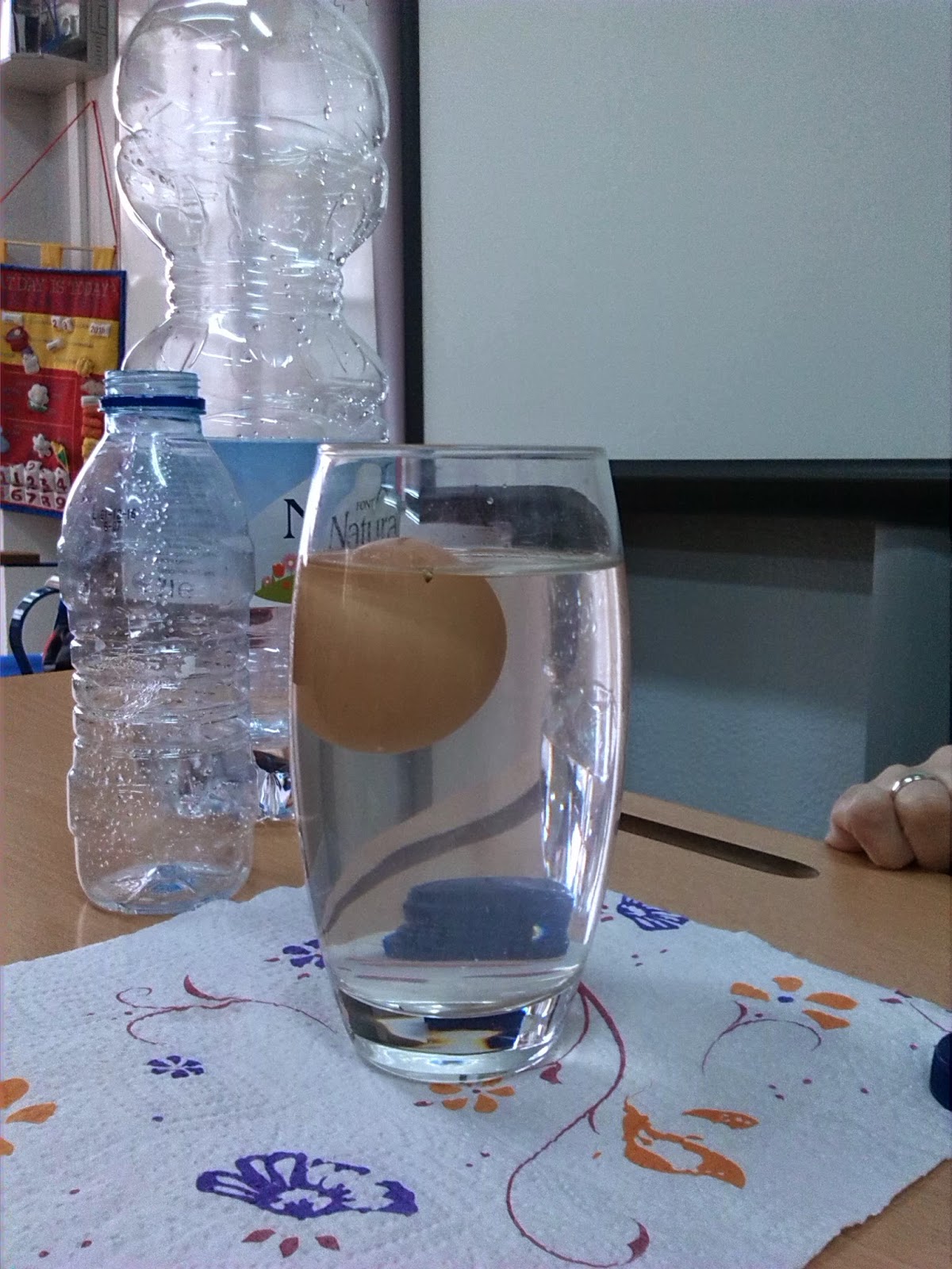 Fourth Grade C - Cuarto C : El huevo que flota: experimento I