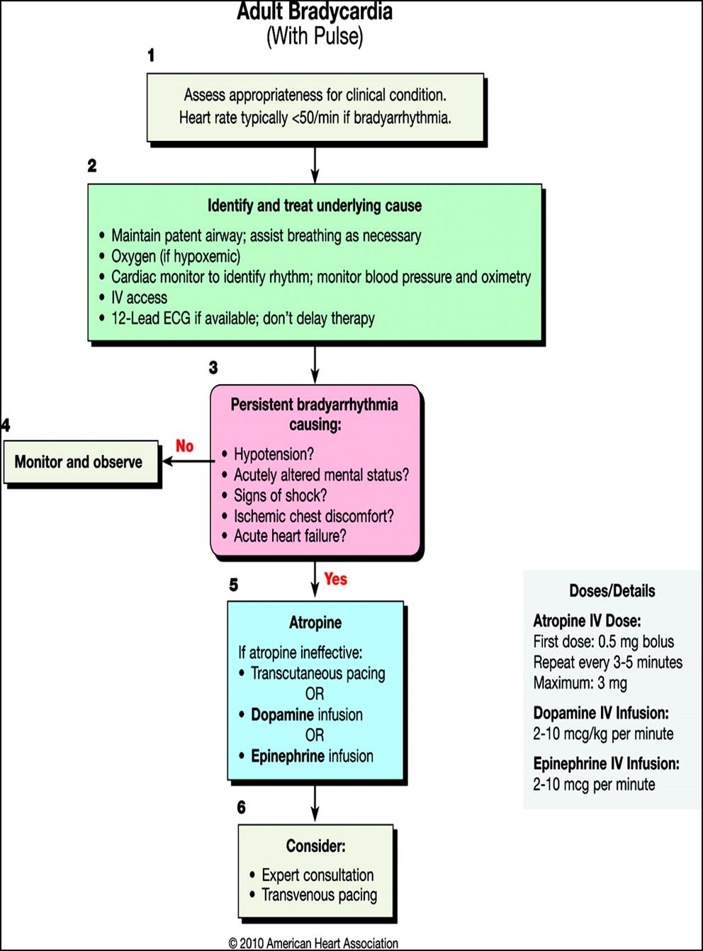 A & E Nurse's and Medic's View: BLS/ECC/ACLS Providers Updates (2010 ...