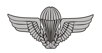 BLOG do Luciano Egidio: Brigada de Infantaria Paraquedista fará seleção ...