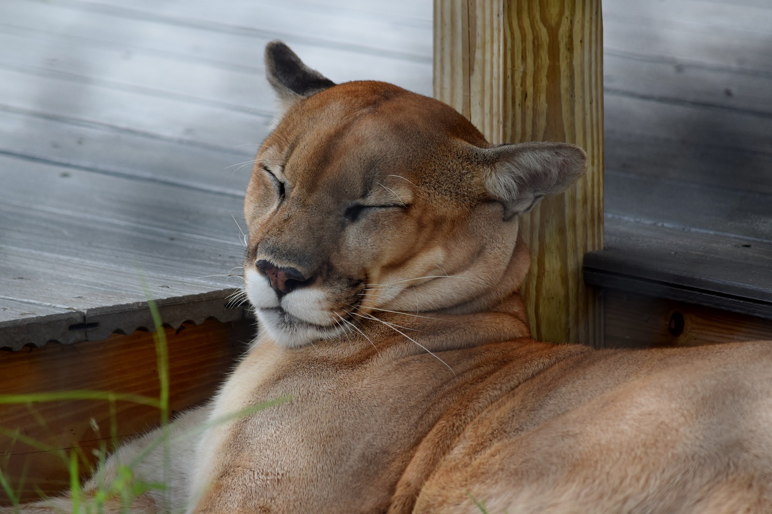 Brian and Sue on the Road: Busch Wildlife Sanctuary, Jupiter, Florida