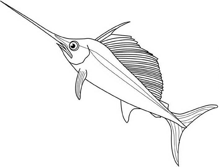 Sailfish Coloring Pages