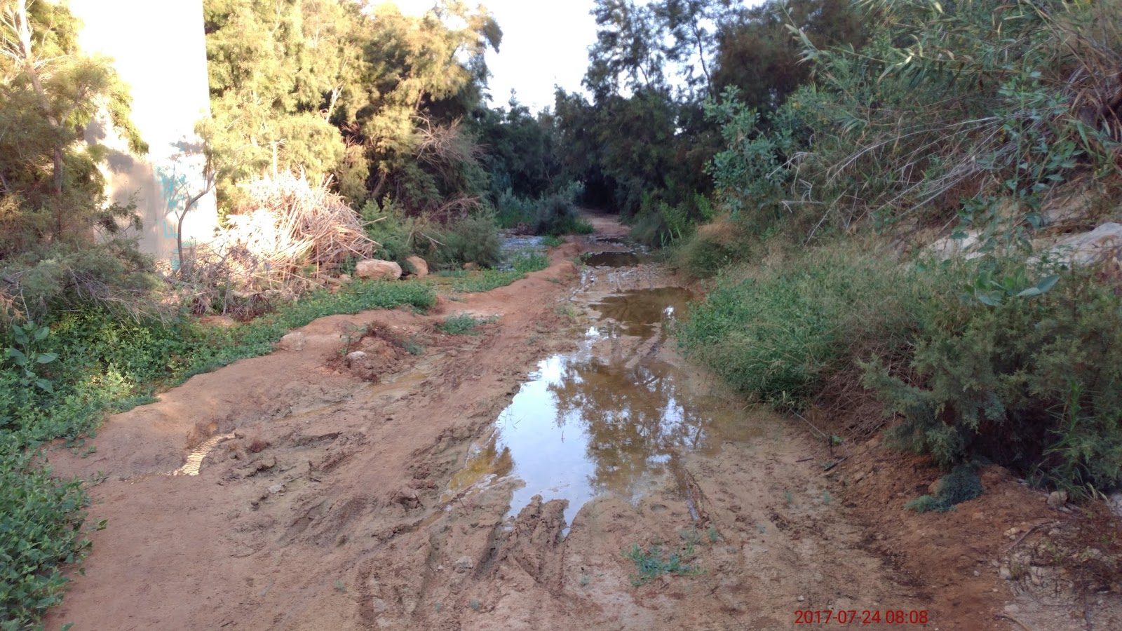 8ª Ruta, 24-07-2017, Torrevieja, Río Seco y vuelta ~ 40 rutas