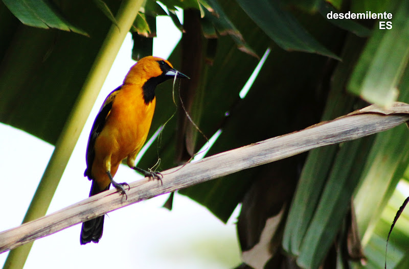 El Salvador natural-II ~ .:El Salvador desde mi lente:.