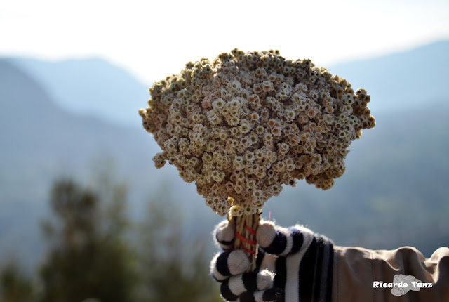 Mount Bromo - The Beatiful Mount From East Java