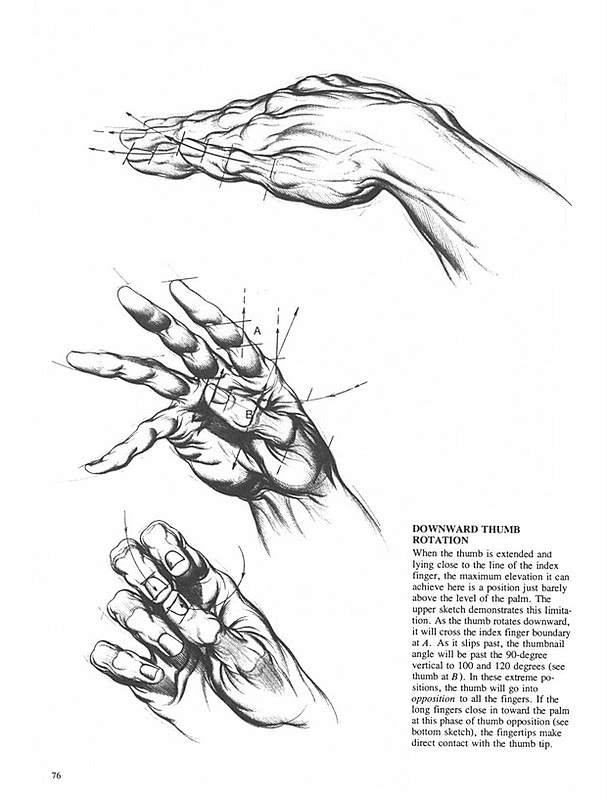 Anatomie Artistica BURNE HOGARTH & Gheorghe Ghitescu: BURNE HOGARTH ...