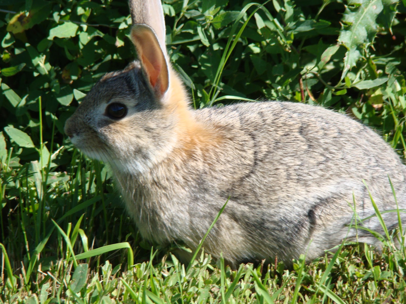 An Unfittie's Guide to Adventurous Travel: Our World Tuesday ...