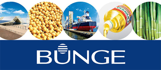 Mundo Das Marcas: BUNGE