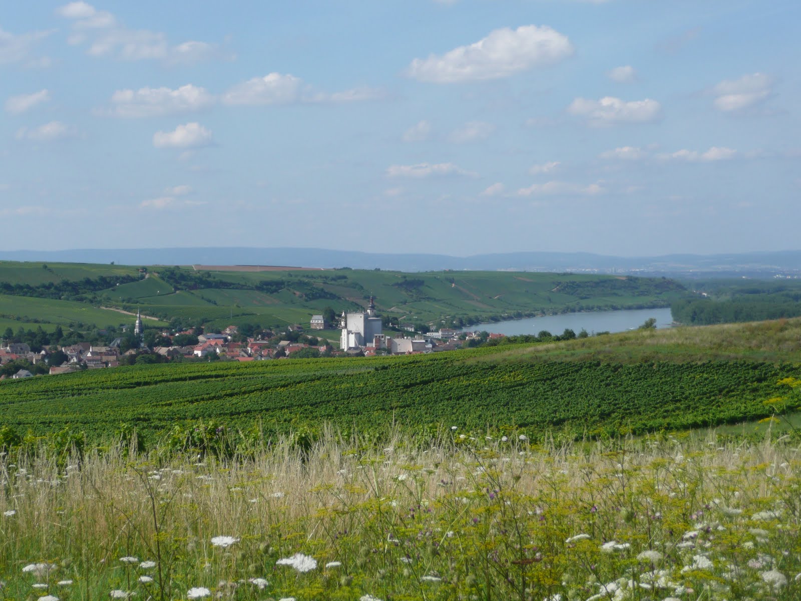 schiller-wine: Celebrating Riesling and my Birthday at Weingut ...