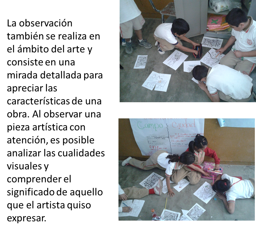 HABILIDADES GEOGRÁFICAS EN LA VIDA COTIDIANA: OBSERVACIÓN