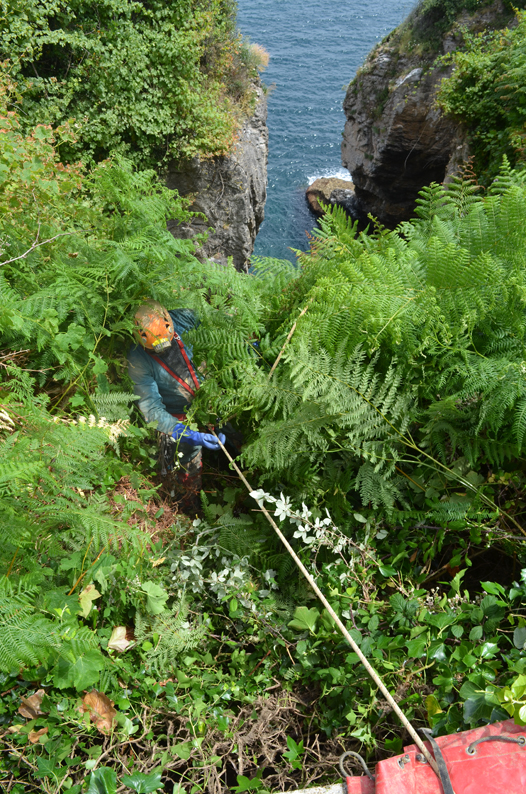 Asteroko kronikie: Zeletako Zulua