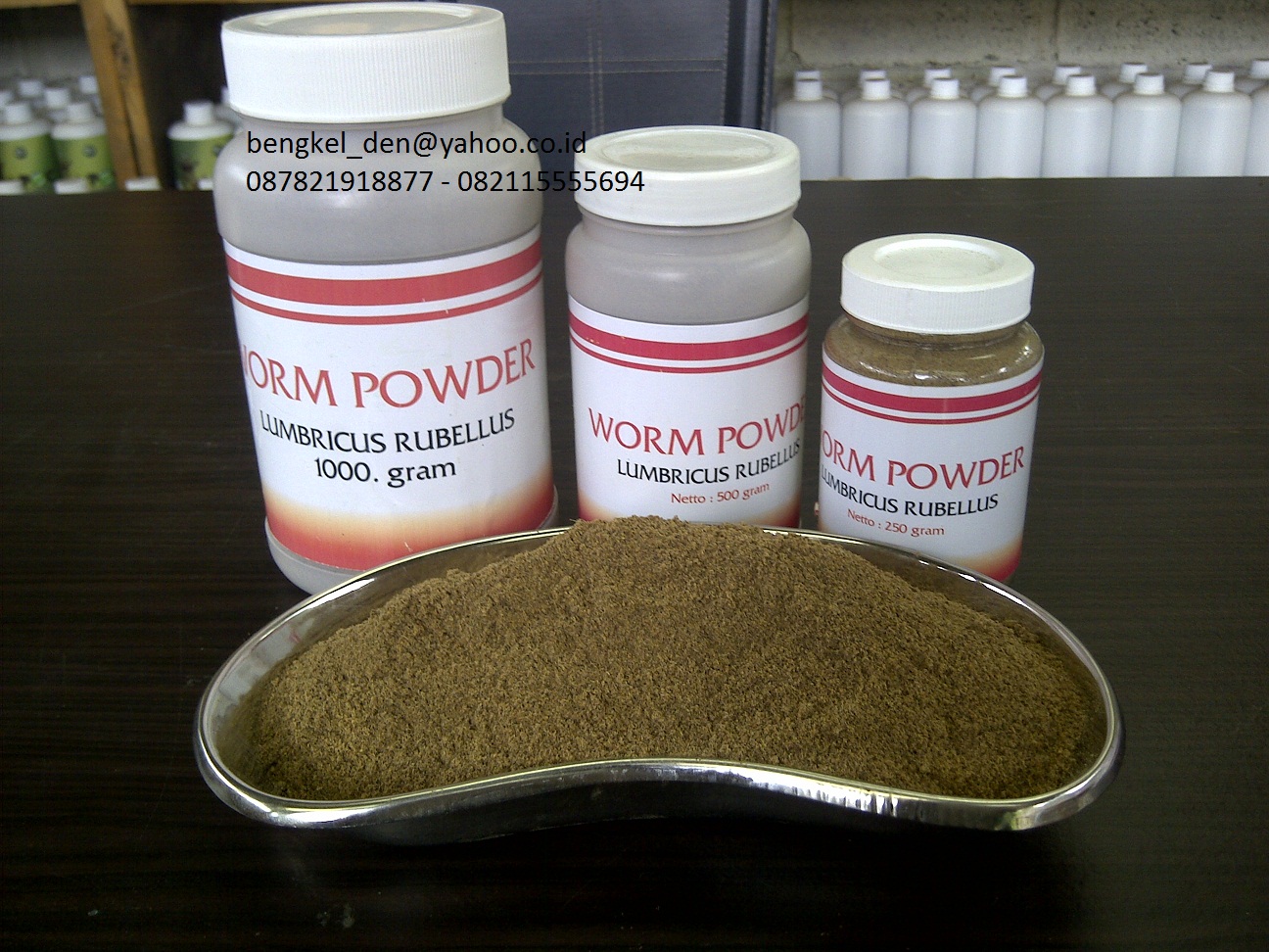 Ekstrak Cacing Tanah: Apa itu dan Apa Keuntungannya?