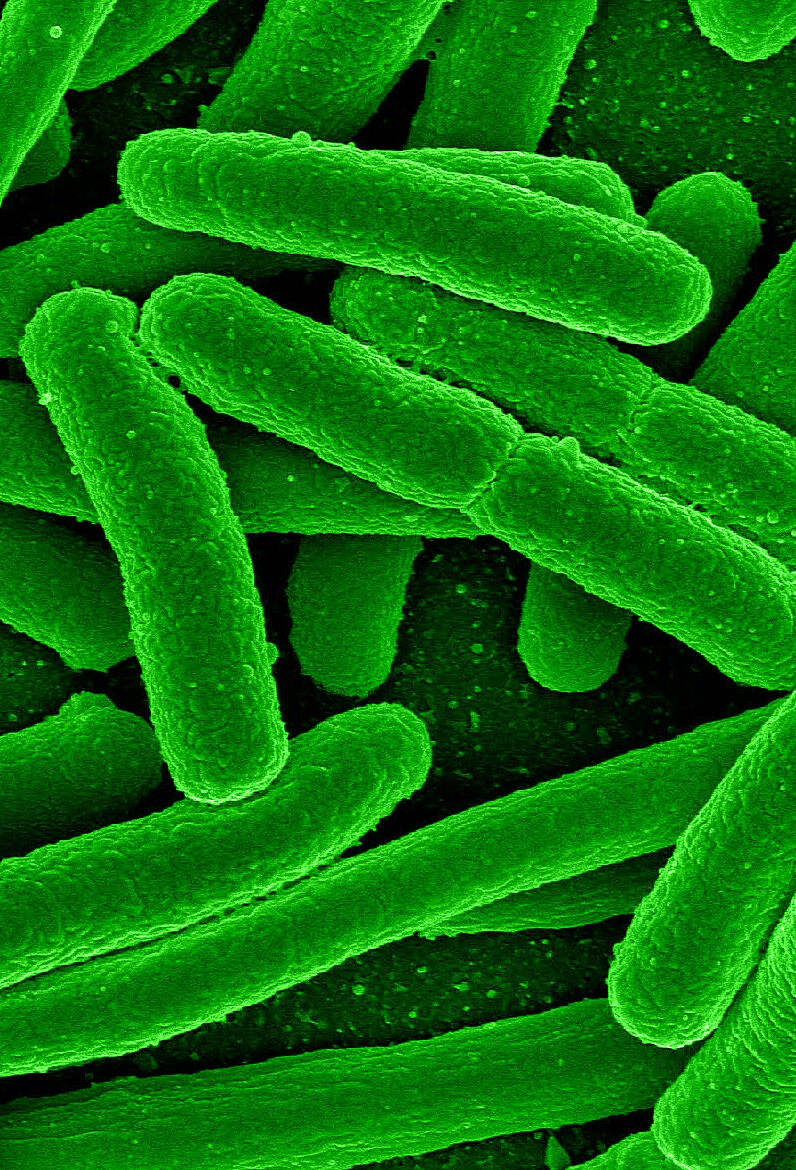 WeWork4Water Blog: The Revised Total Coliform Rule